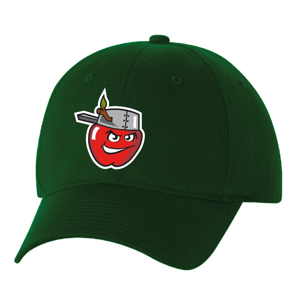 Fort Wayne TinCaps Home Replica Youth Twill Dark Green Cap – Fort Wayne ...