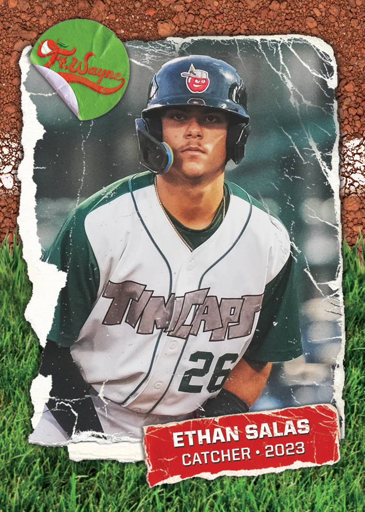 Fort Wayne TinCaps 2023 Team Expansion Pack – Fort Wayne TinCaps ...
