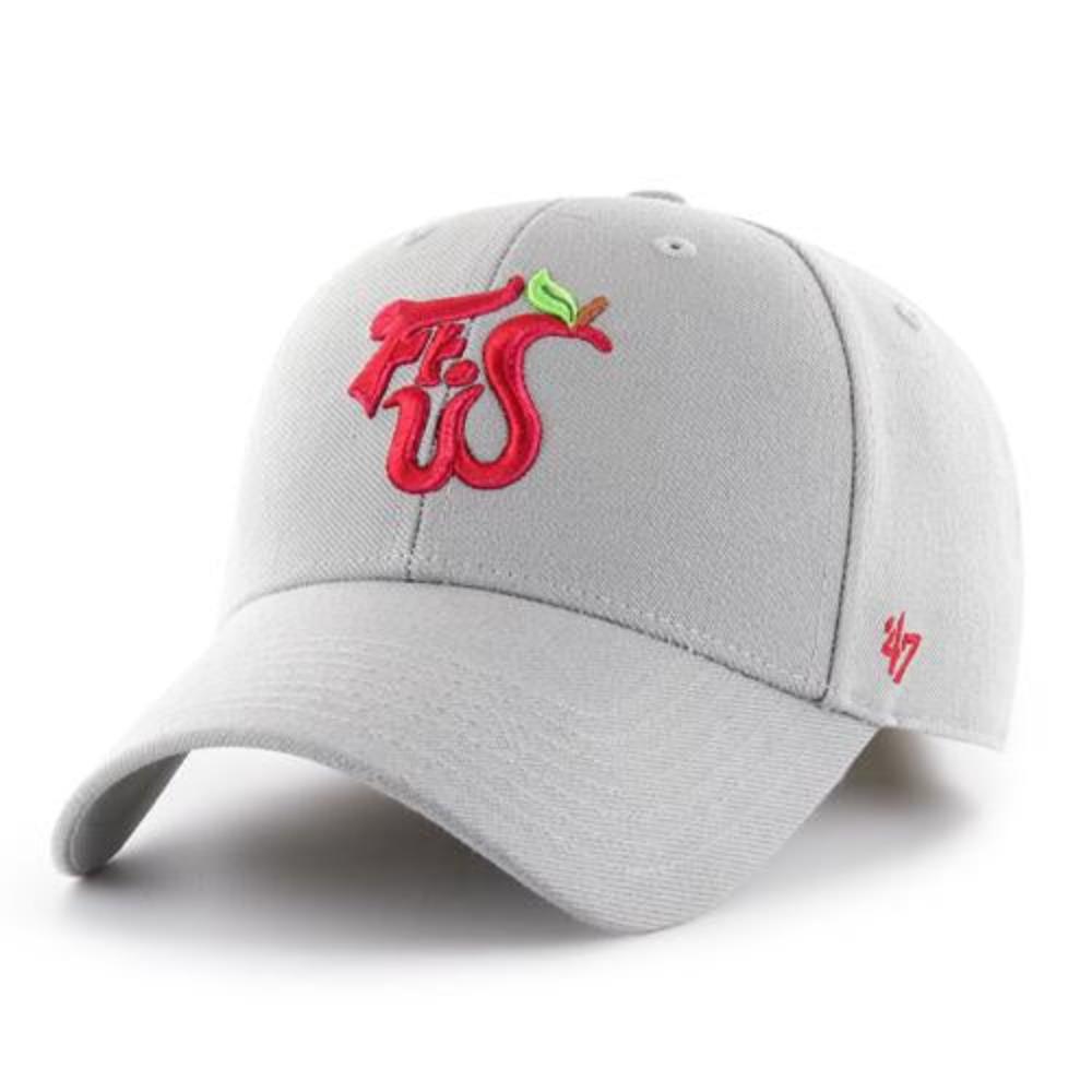 Fort Wayne TinCaps Gray FTW MVP BP Youth '47 – Fort Wayne TinCaps ...