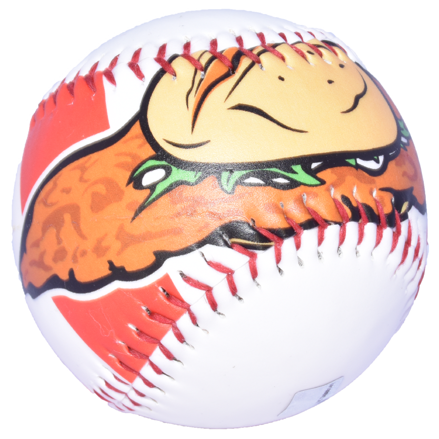 Fort Wayne TinCaps Logo Ball – Fort Wayne TinCaps Official Store